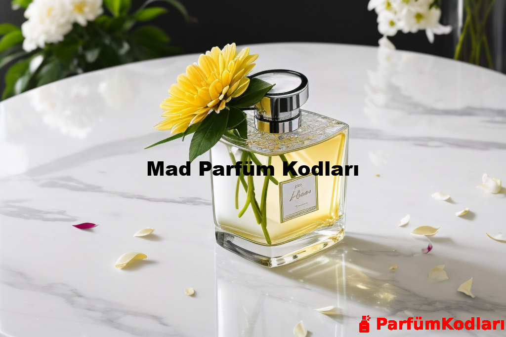 Mad Parfüm Kodları - Parfüm Kodları
