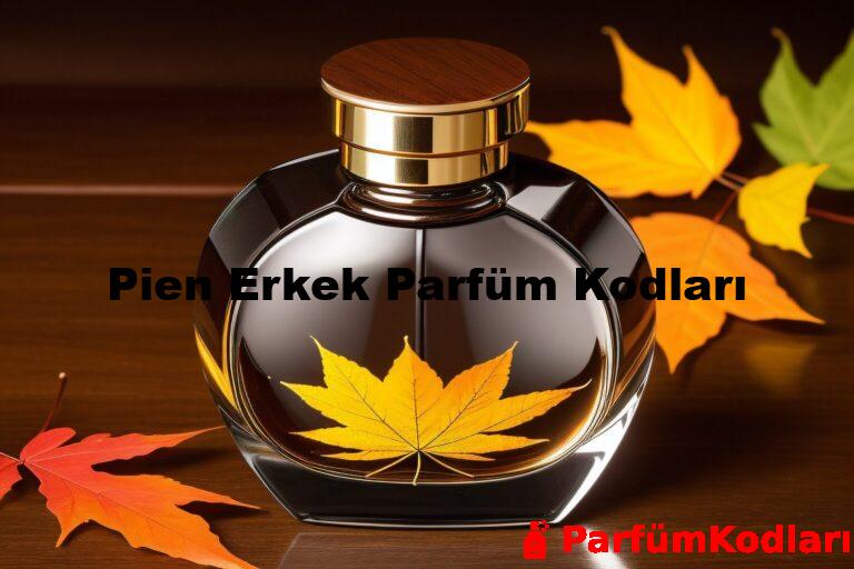 Pien Erkek Parfüm Kodları - Parfüm Kodları